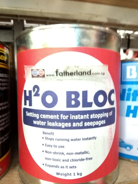 GG H20 BLOC 1KG ( SETTING CEMENT ) - www.fatherland.com.sg