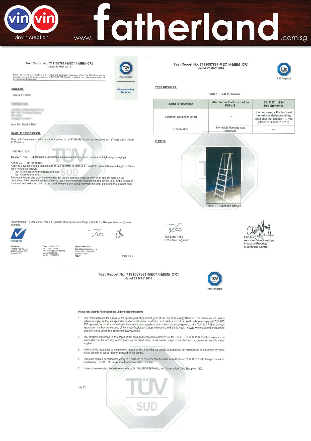 ALUMINIUM PLATFORM LADDER WITH CHAIN AND LONG RAIL - www.fatherland.com.sg
